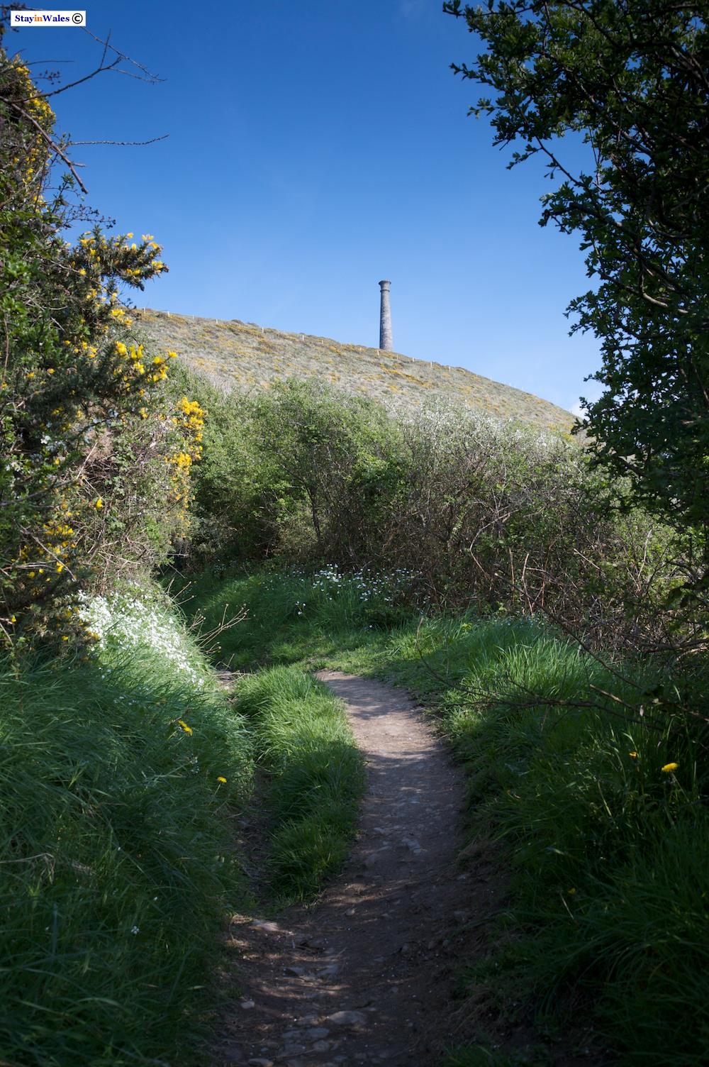 Pen Dinas Nature Reserve, Aberystwyth
